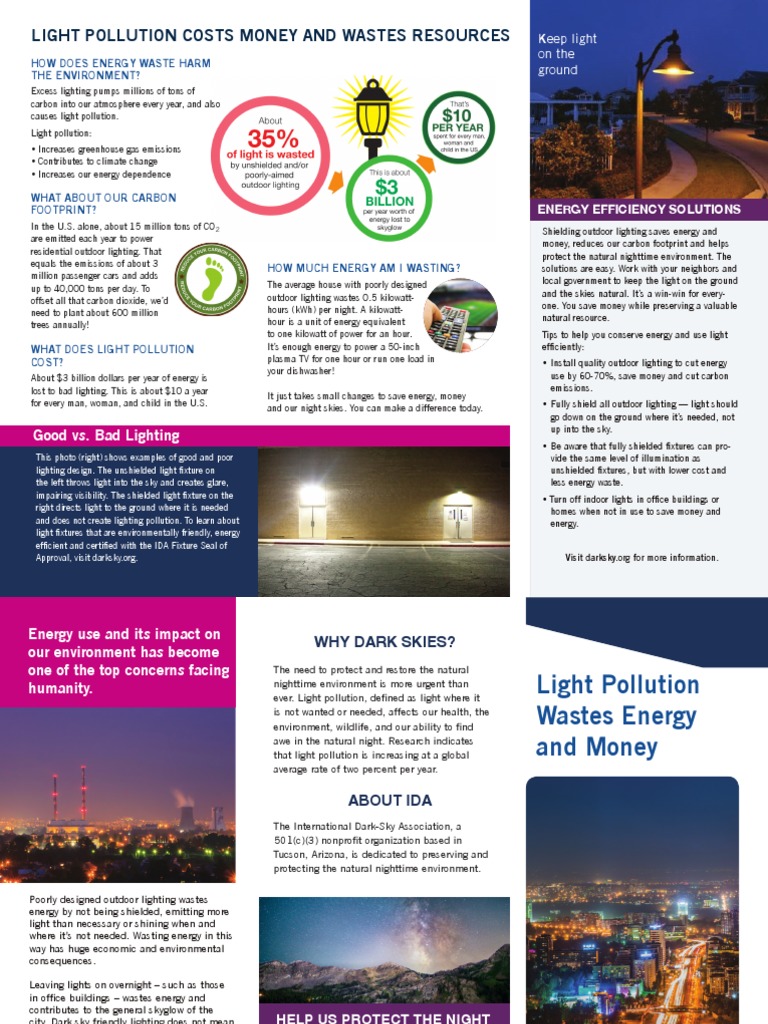Combatting Light Pollution Waste | PDF | Lighting | Environmental Issues