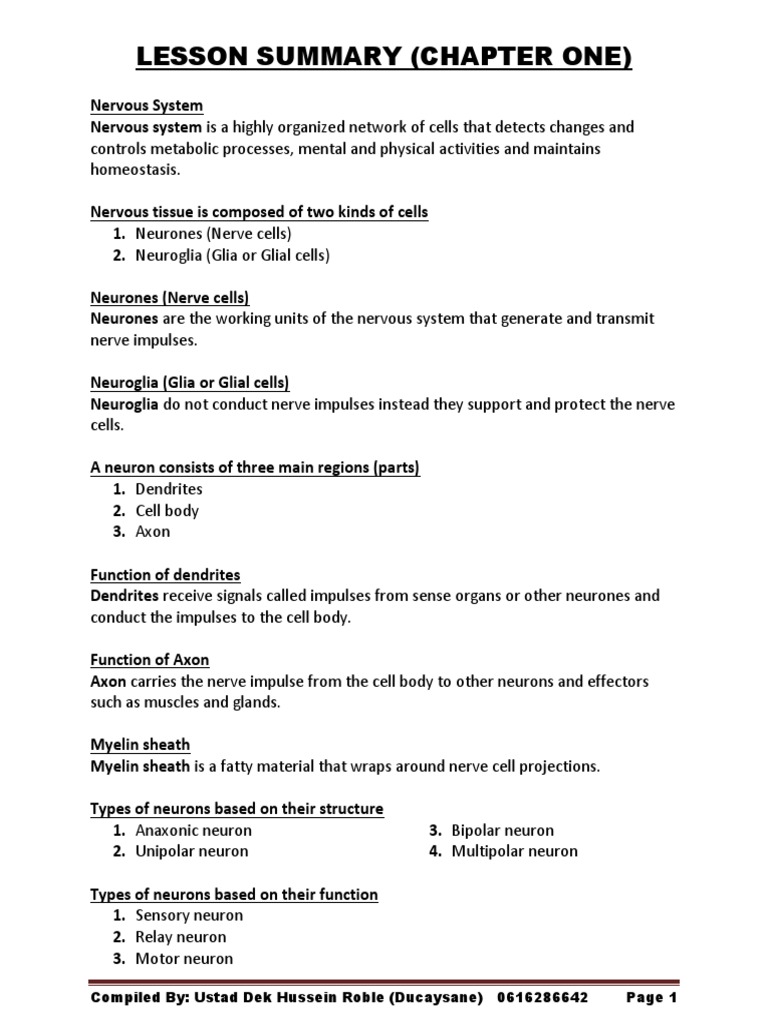 Biology All Chapters F4 | PDF | Neuron | Hormone