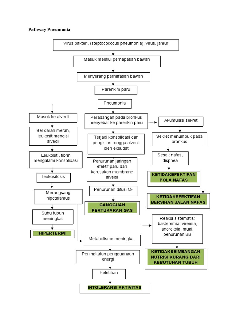 Pathway-Pneumonia-1 | PDF