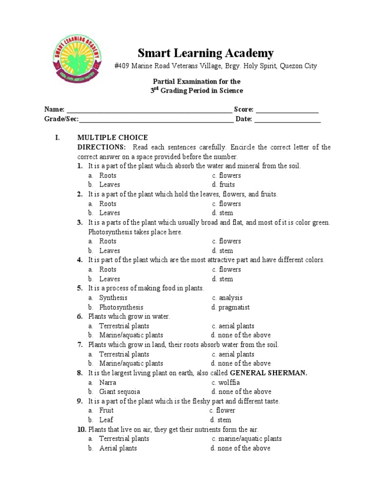 3rd Grading in Science | PDF | Plants | Leaf