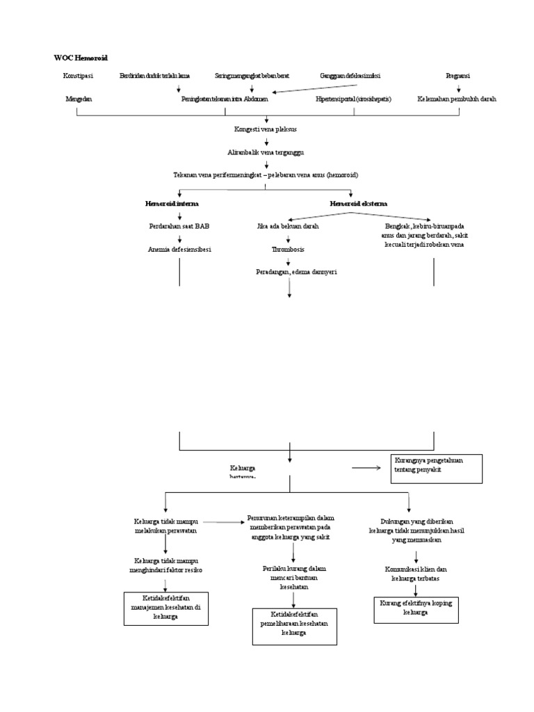 WOC Hemoroid: Hemoroid Eksterna Hemoroid Interna | PDF