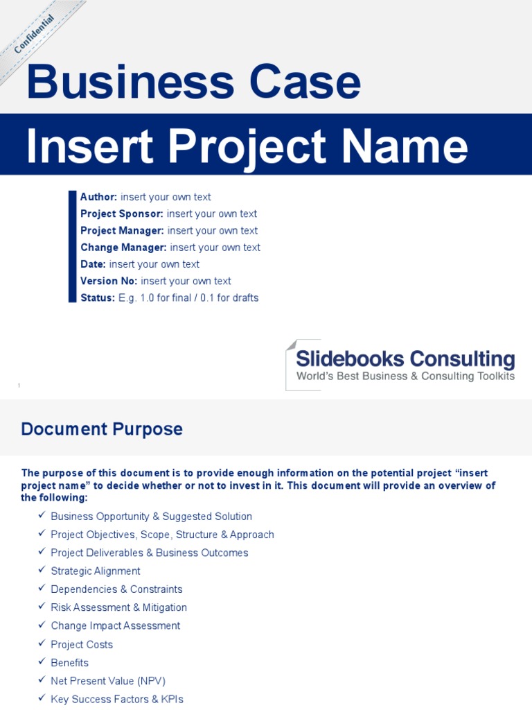 Business Case - Template | PDF | Net Present Value | Business