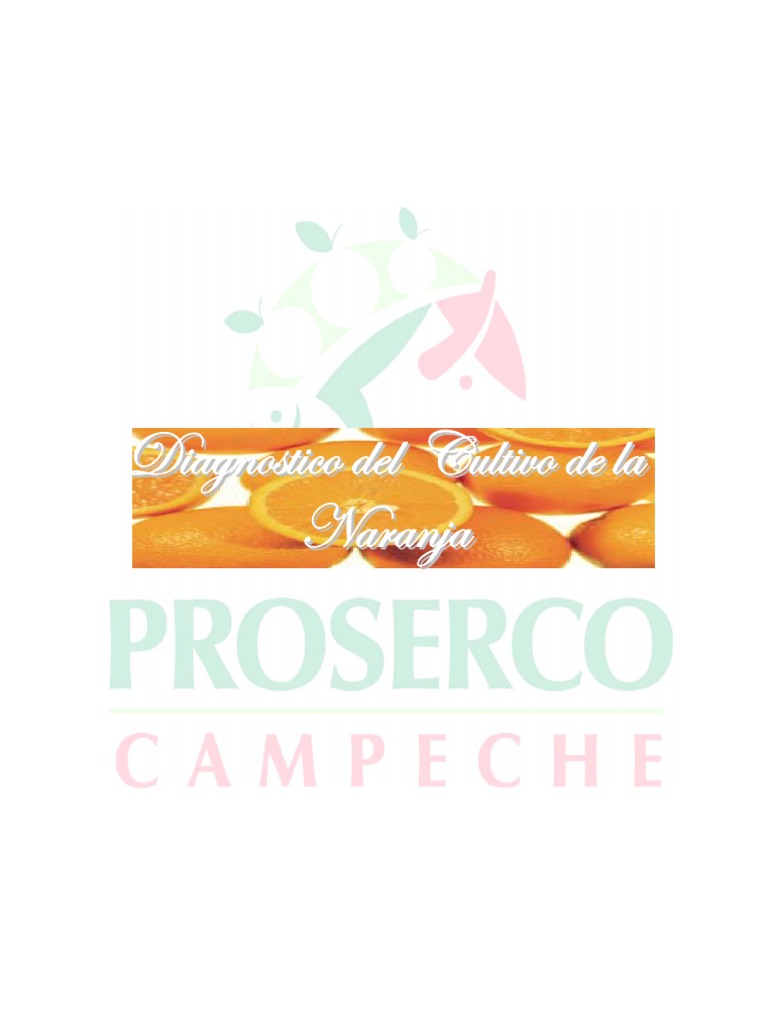 Diagnostico Del Cultivo de La Naranja | PDF | Naranja) | Injerto