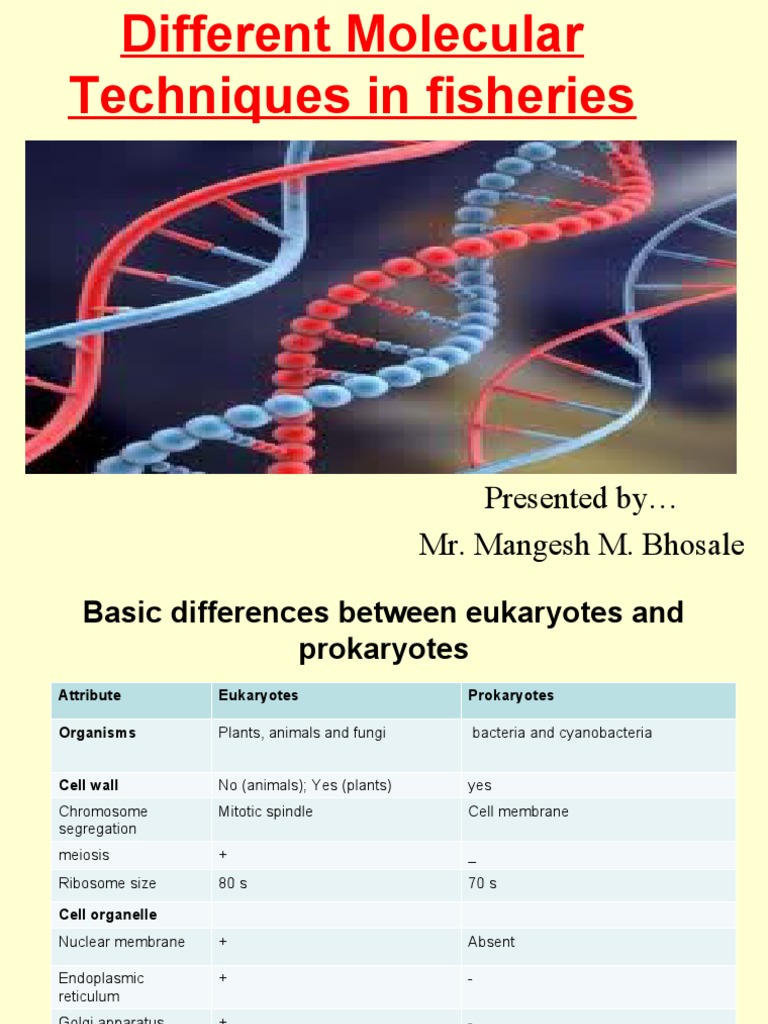 Basics of Molecular Biology | PDF | Rna | Messenger Rna