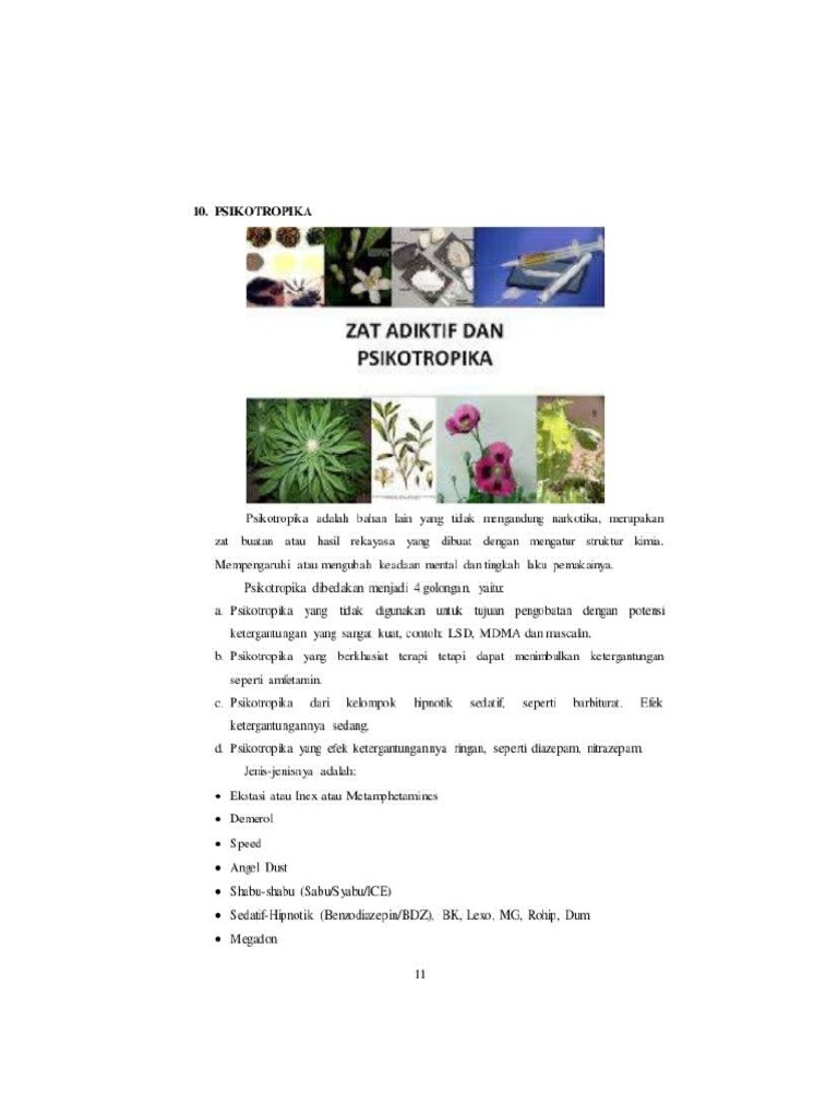 Tugas Tamara | PDF | Dewasa Muda