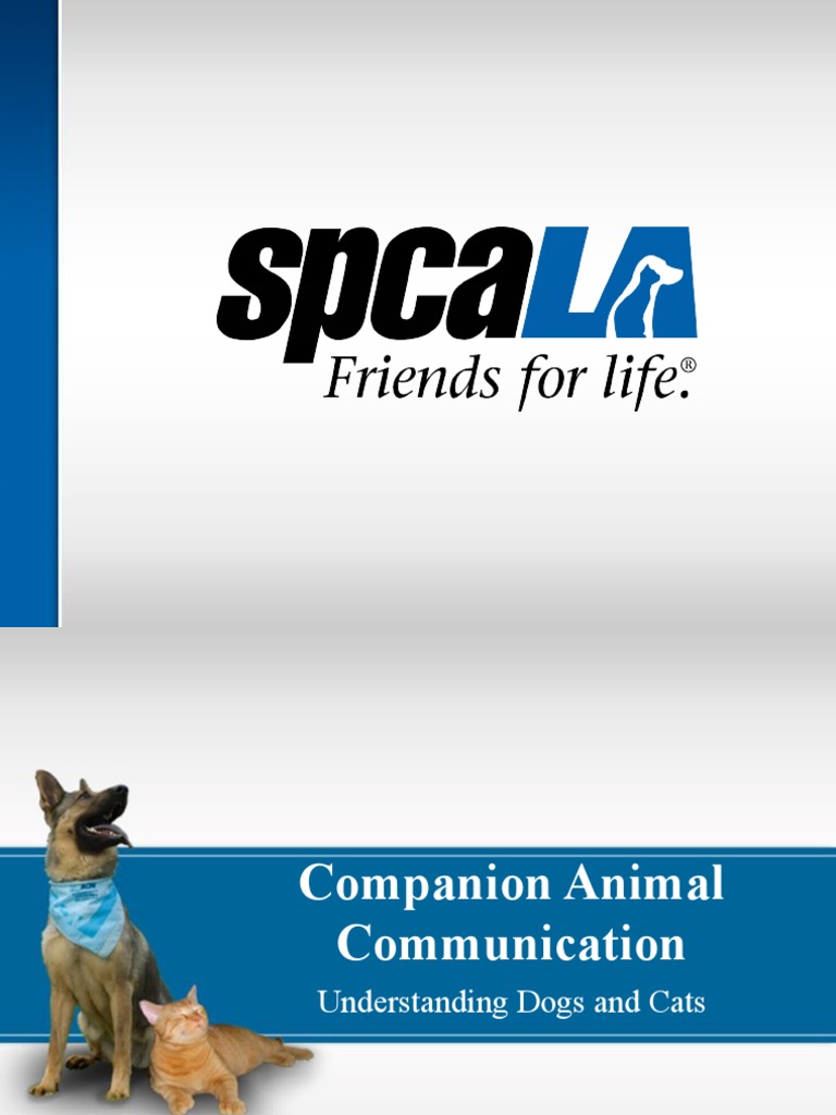 Animal Communication Presentation | PDF | Dogs | Domestication