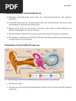 Grade 12 Life Science The Ear PDF | PDF | Ear | Hearing