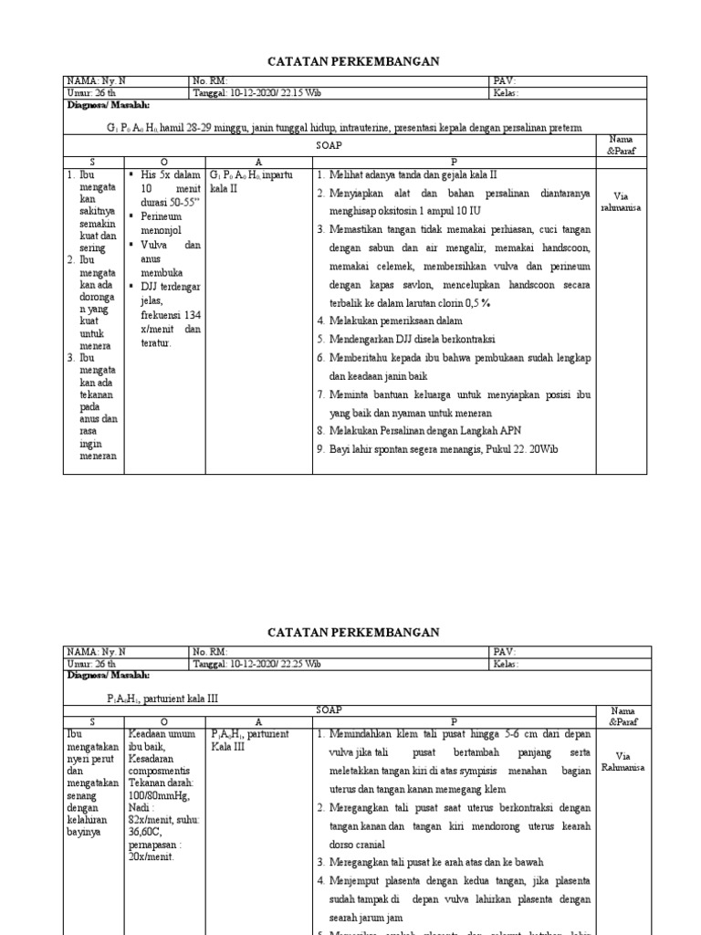 Catatan Perkembangan | PDF