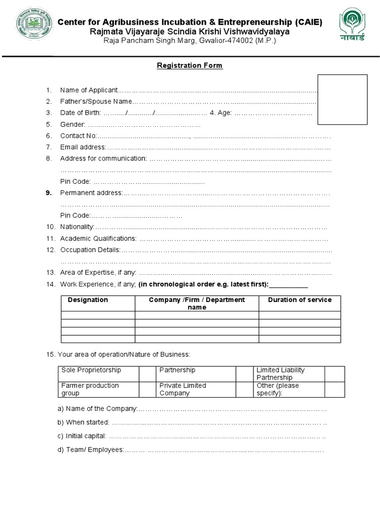 CAIE Application Form | PDF | Banks | Business