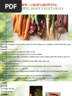 Carrots | PDF | Carrot | Agriculture