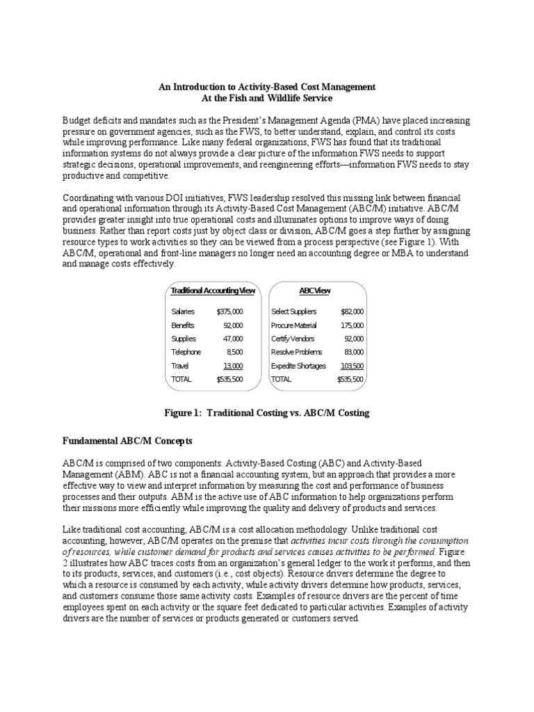 Understanding Costs Through Activity-Based Management: How the Fish and ...