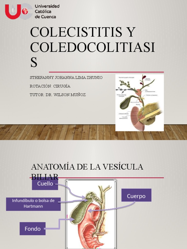 Vesícula Biliar En Bolsa De Hartmann