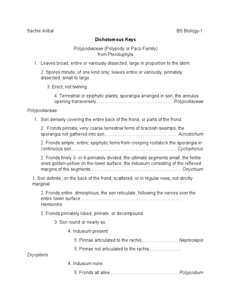 A Dichotomous Key for Identifying Plant Families Polypodiaceae and ...