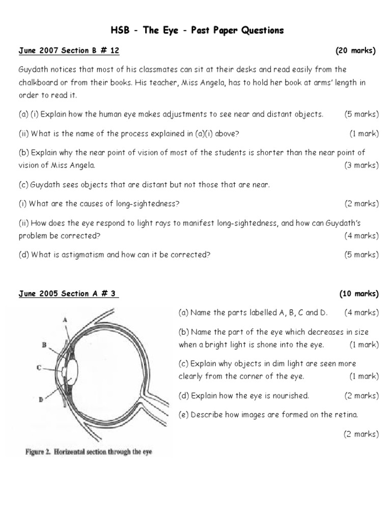 HSB - The Eye - Past Paper Questions | PDF | Eye | Visual Perception