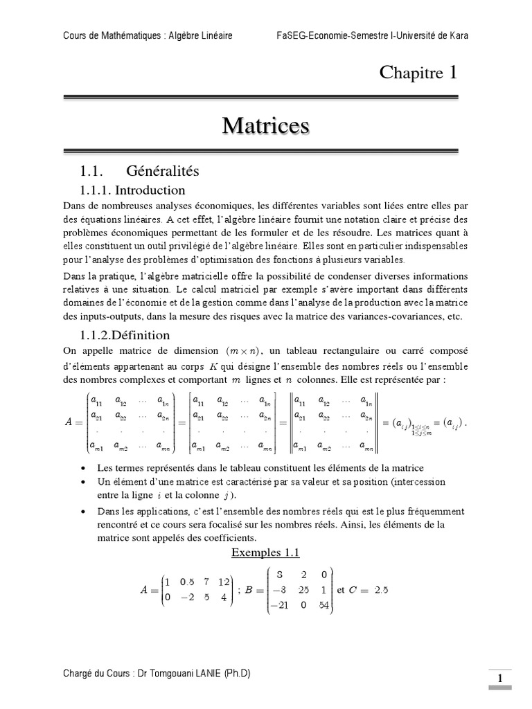 Chapitre 1 Matrices | PDF | Matrice (Mathématiques) | Scalaire ...