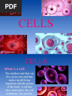 Mind Map | PDF | Cell (Biology) | Cell Membrane