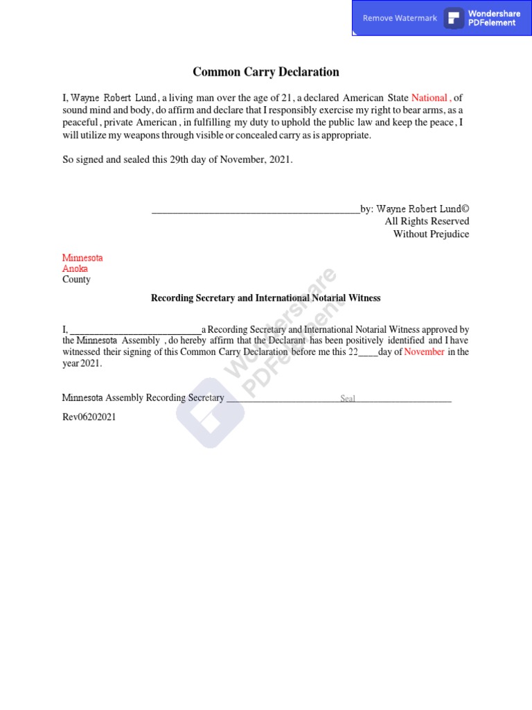 Common Carry Declaration: Minnesota Anoka | PDF