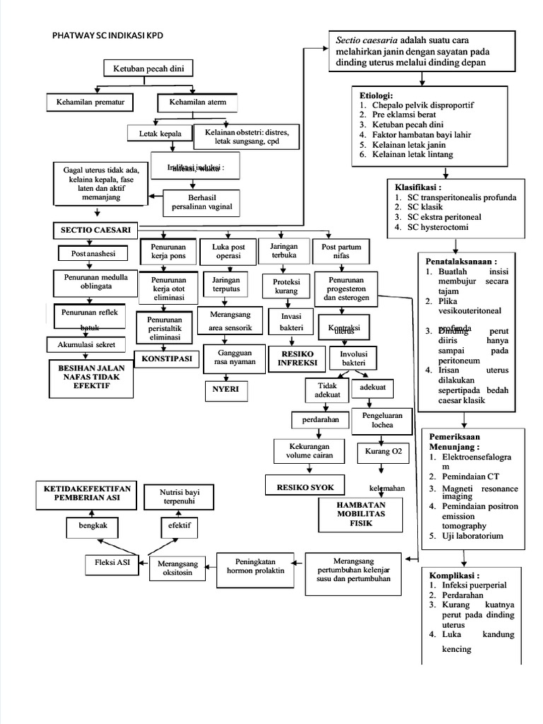 PDF Phatway SC Indikasi KPD Compress | PDF