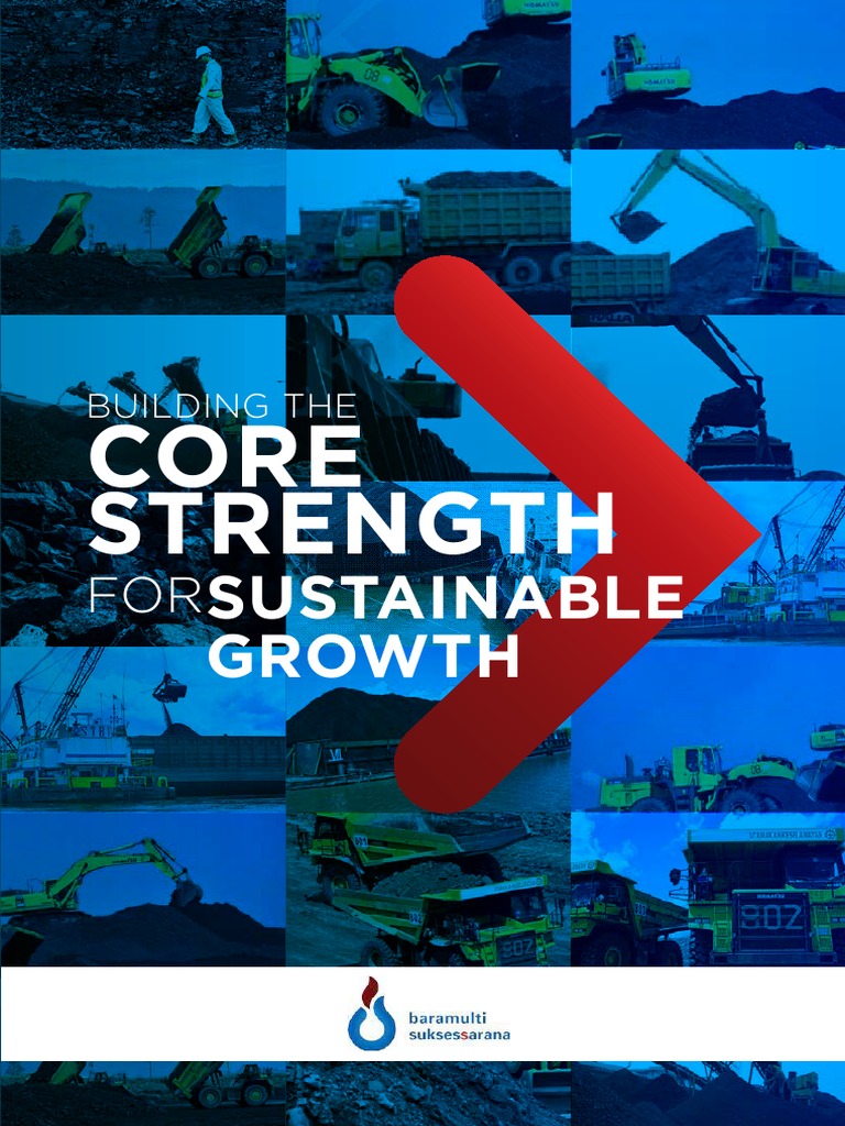 BSSR - Annual Report - 2017 | PDF