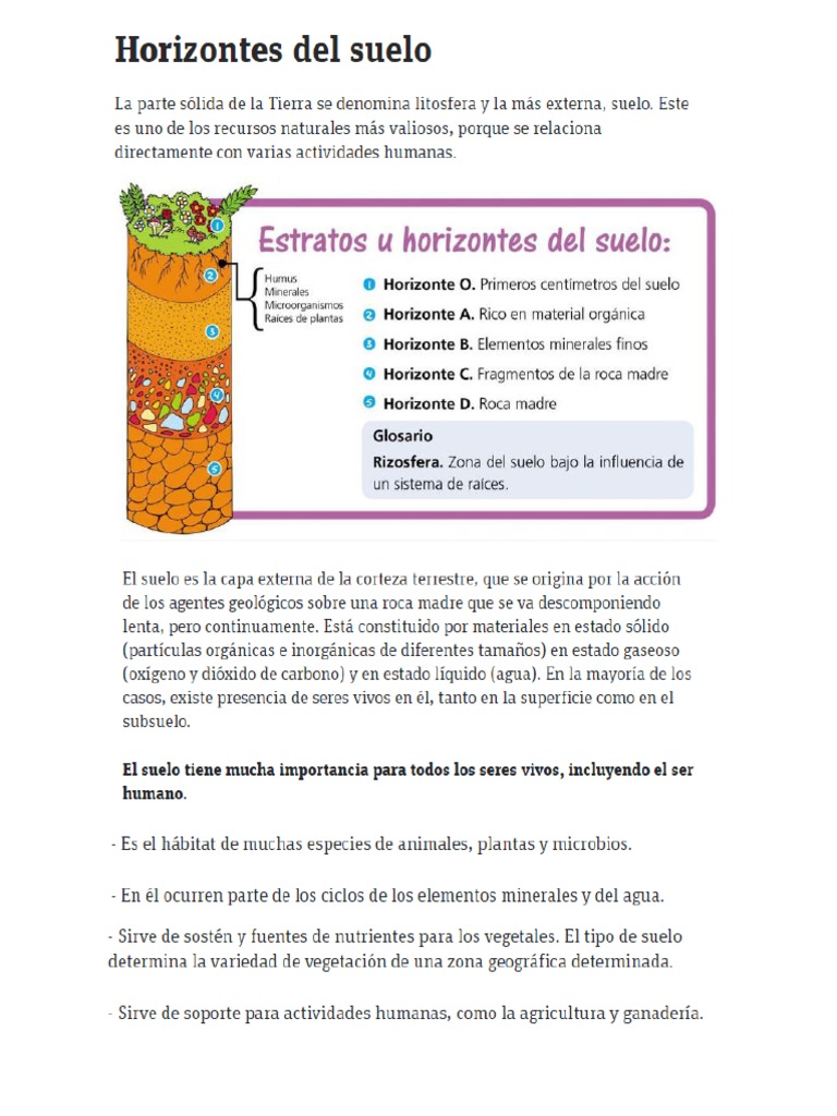 Horizontes Del Suelo | PDF