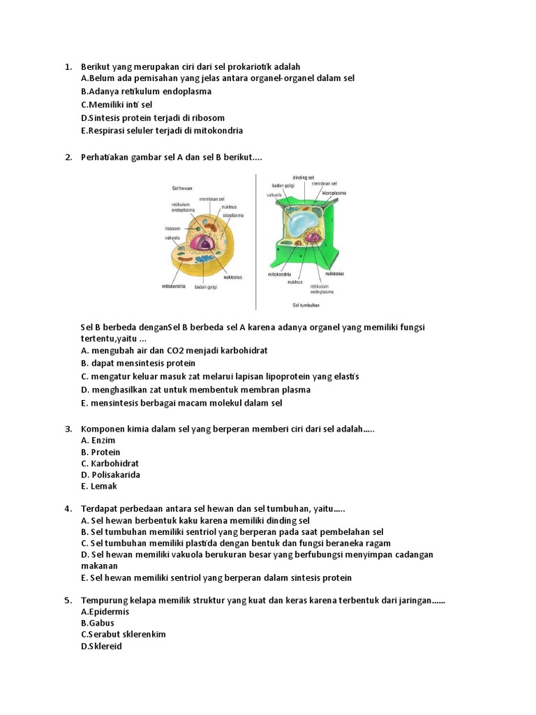 Soal Semester I Biologi Kelas Xi Ipa 2021 | PDF