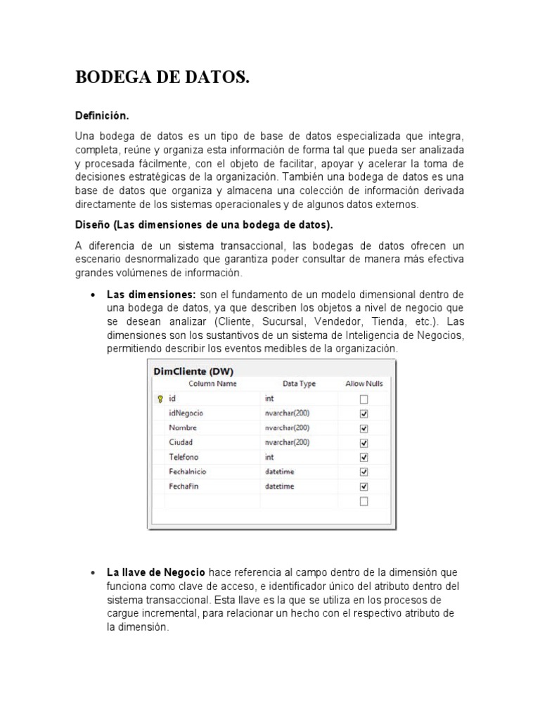 Bodega de Datos | PDF | Bases de datos | Tecnologías de la información