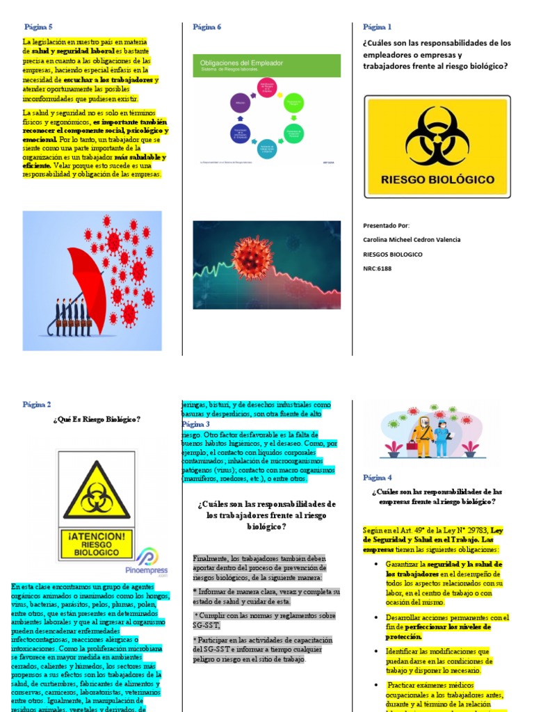 Plegable | PDF | Seguridad y salud ocupacional | Especialidades Medicas