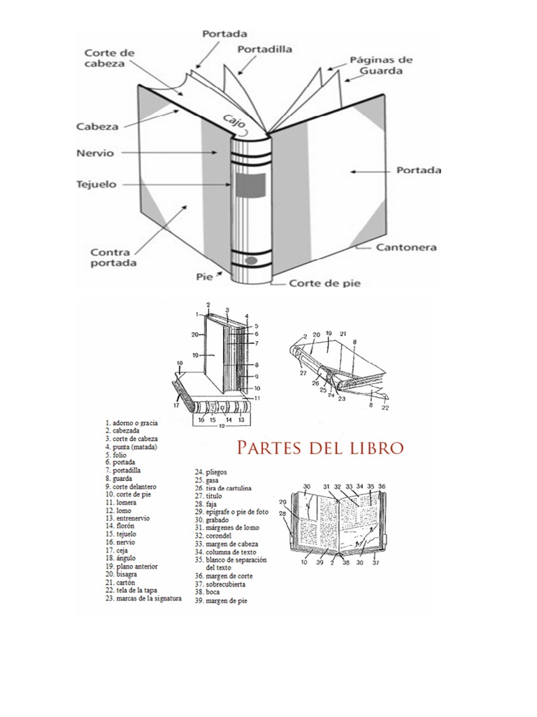 Partes de Un Libro | PDF