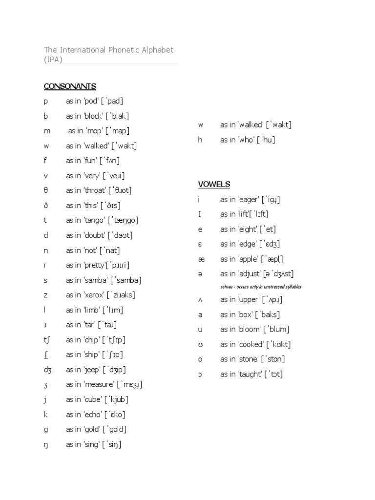 Consonants: The International Phonetic Alphabet (IPA) | PDF