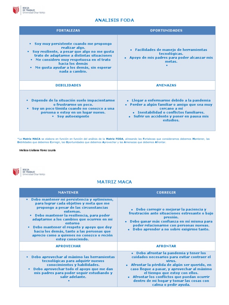 Matriz Foda - Maca - MF | PDF | Análisis FODA