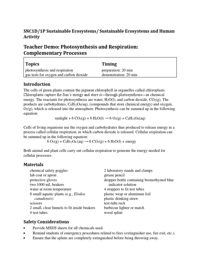 Teacher Demo: Photosynthesis and Respiration: Complementary Processes ...
