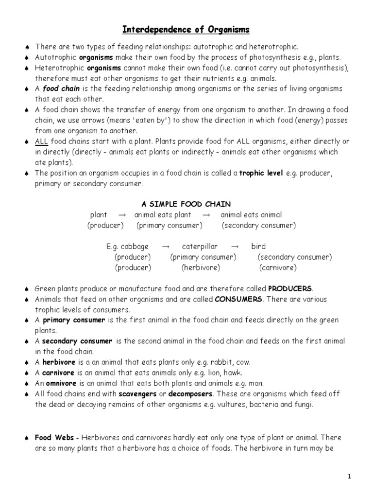 Interdependence of Organisms | PDF | Food Web | Herbivore