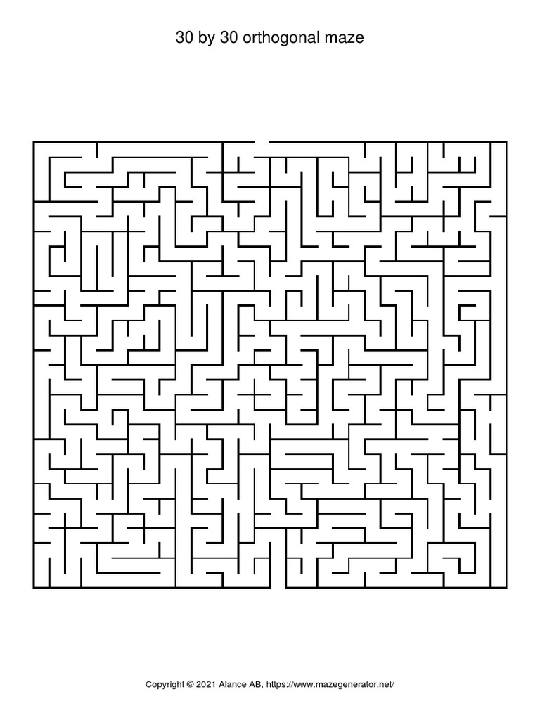 30 by 30 Orthogonal Maze | PDF