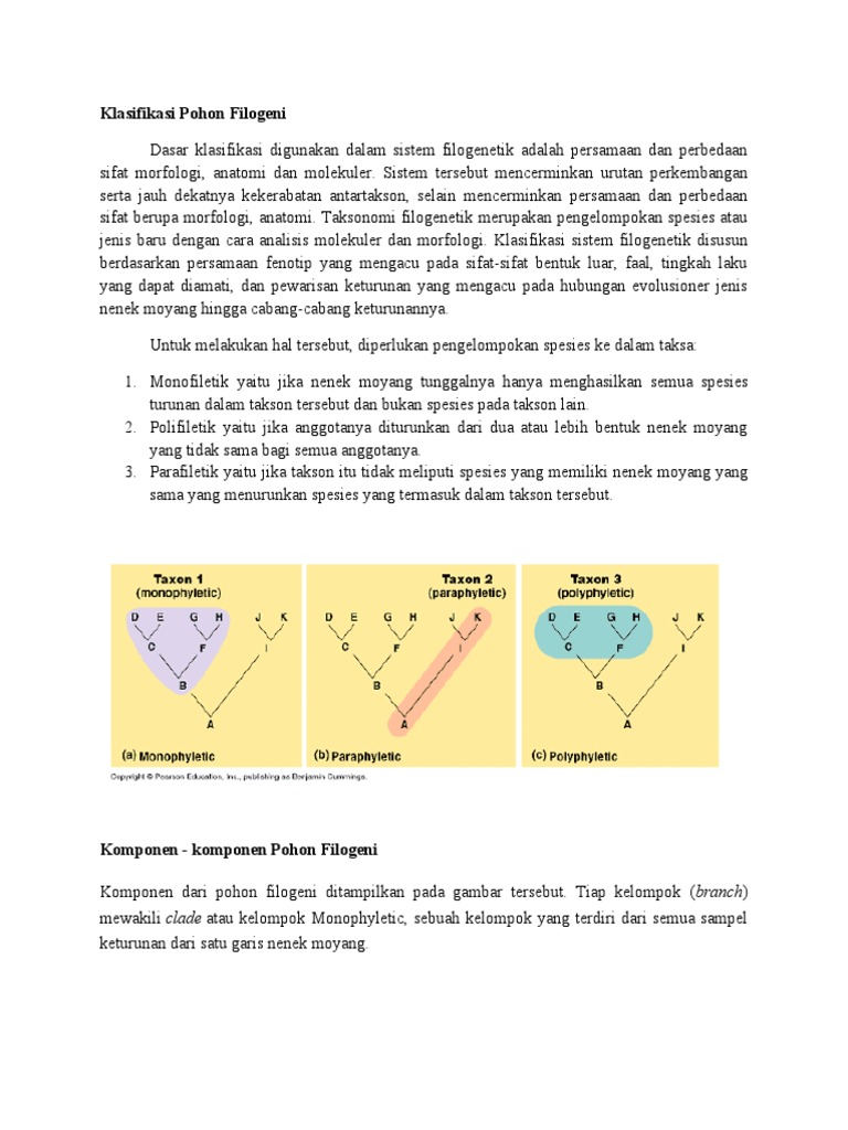 Klasifikasi, Komponen Dan Karakteristik Filogeni | PDF
