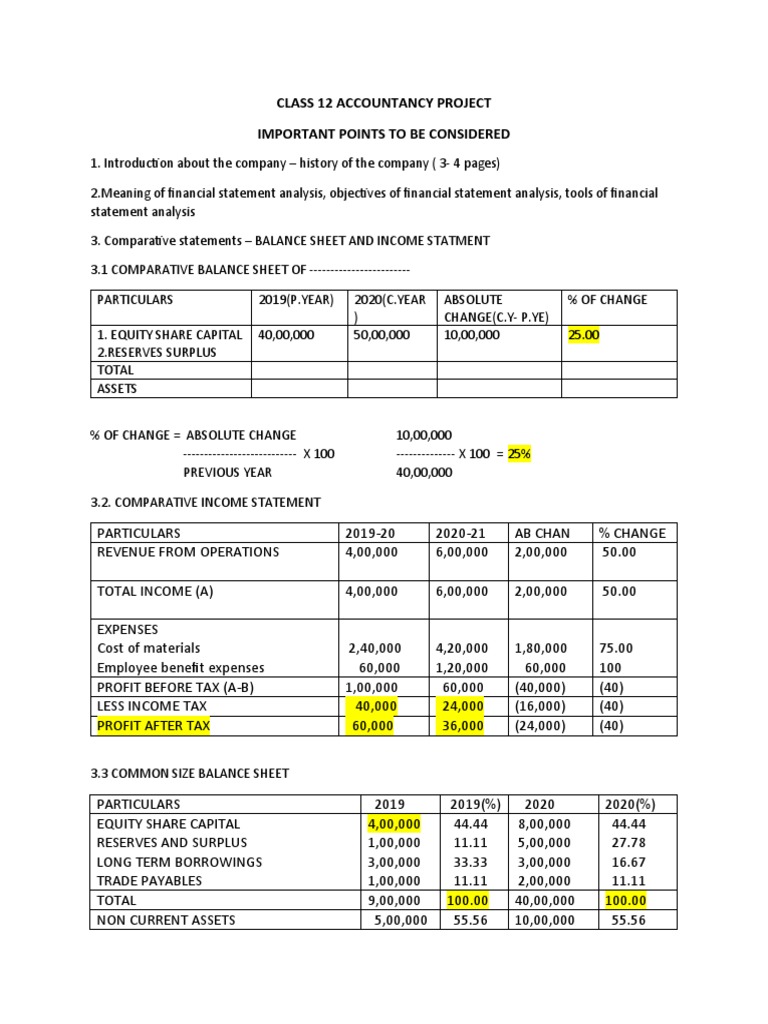 Class 12 Accountancy Project Important Points To Be Considered | PDF ...