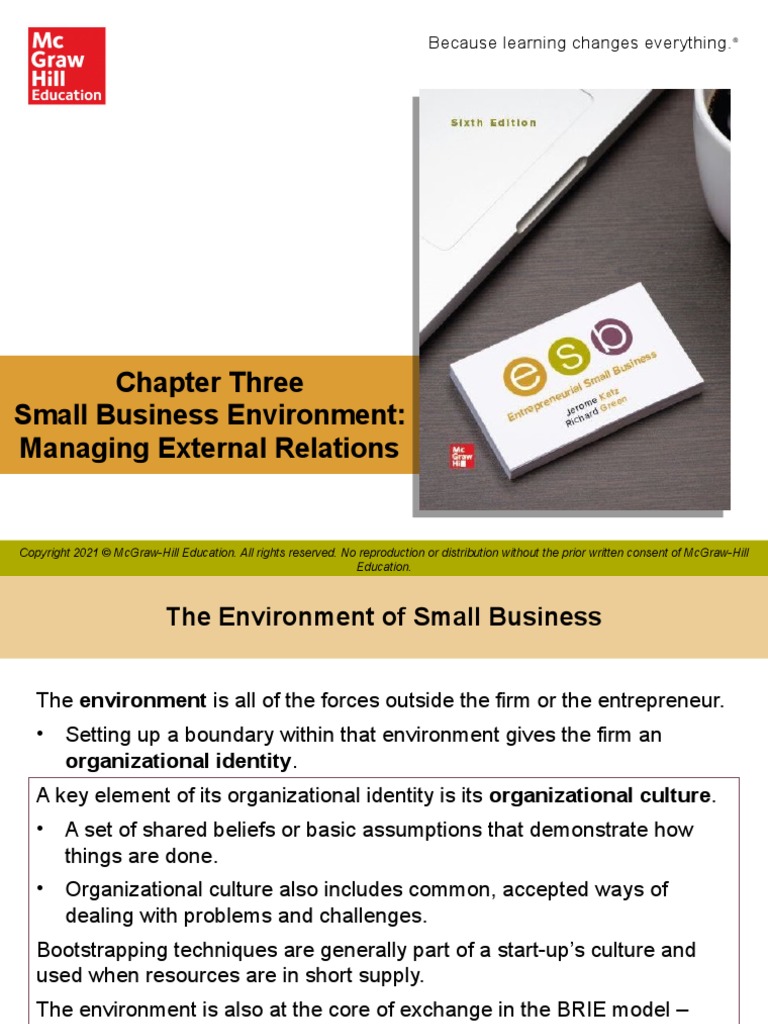 Chapter Three Small Business Environment: Managing External Relations ...