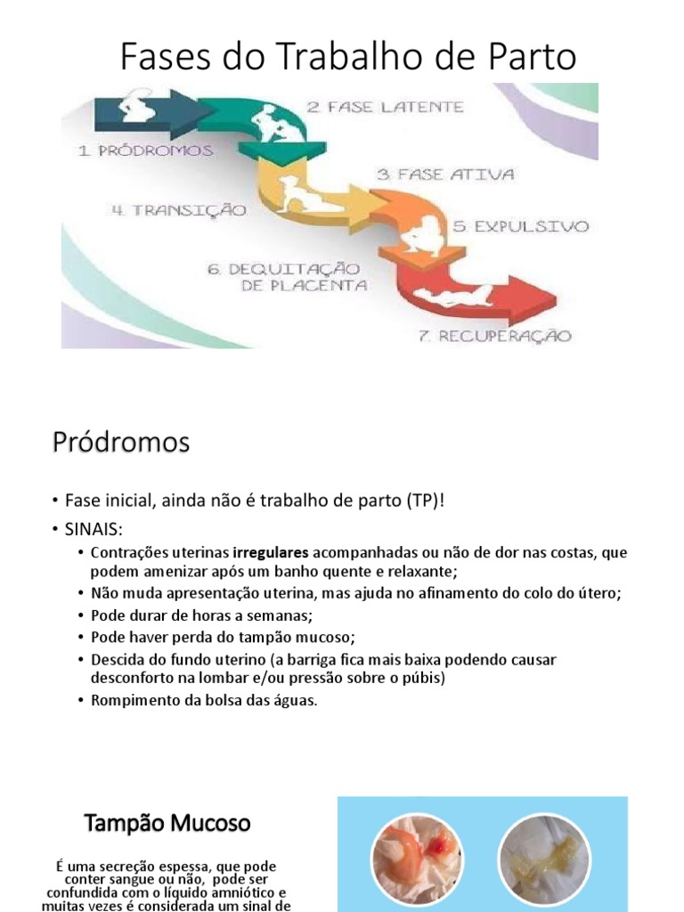 Conheça As Fases Do Trabalho De Parto – QOHD