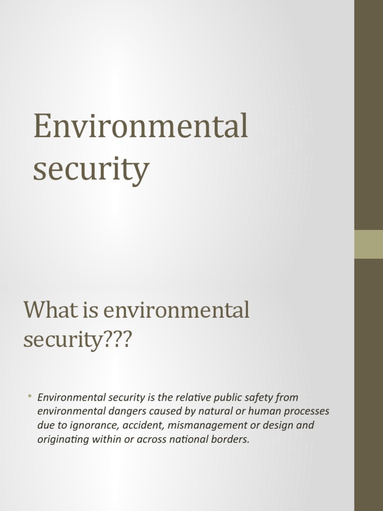 Environmental Security | PDF | Sustainability | Natural Environment