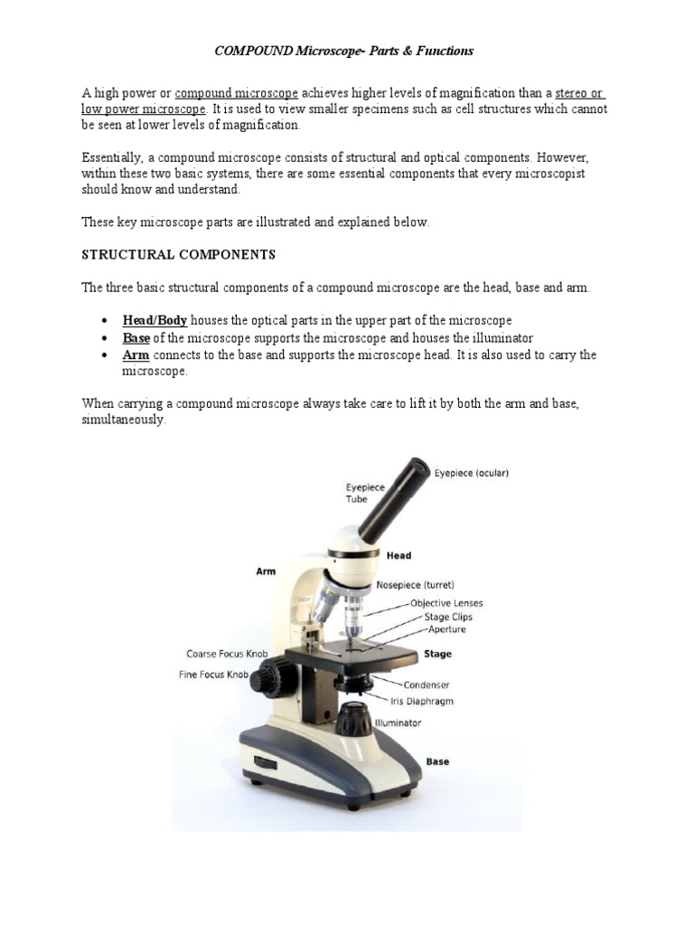COMPOUND Microscope-Parts & Functions: Structural Components | PDF ...
