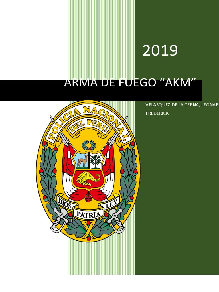 Akm PNP | Descargar gratis PDF | Rifle | Armas de proyectiles