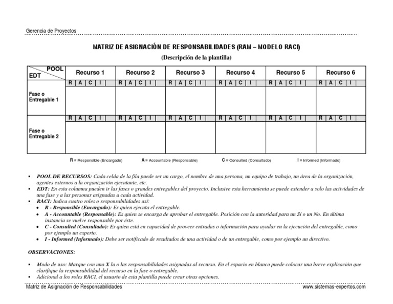 Matriz RAM (Descriptivo) | PDF | Informática
