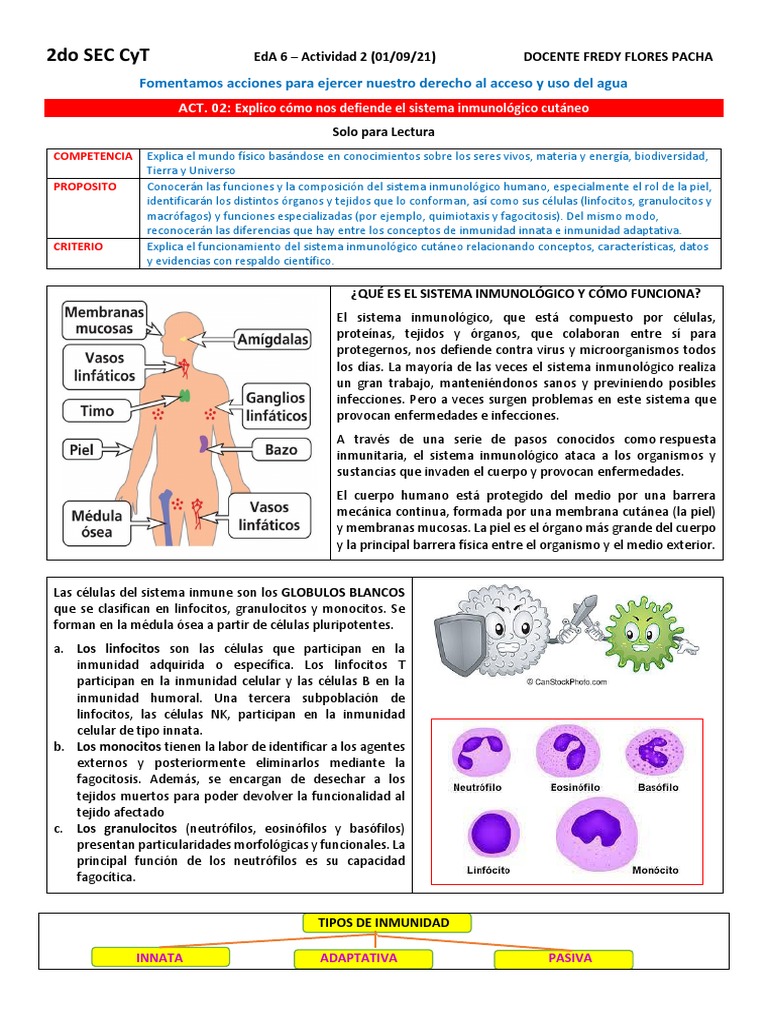 Sesion Segundo p6 Act 2 Sist Inmunologico | PDF | Sistema inmune | Sistema inmune innato