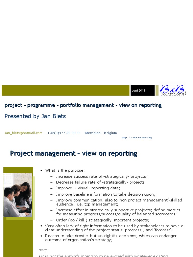 Project - Programme - Portfolio Management - View On Reporting | PDF ...