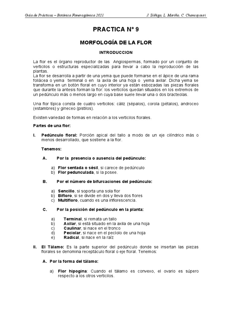 Morfología de la Flor: Guía 2021 | PDF | Flores | Tallo de la planta