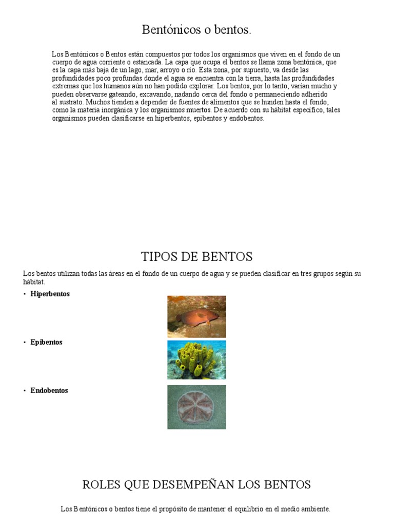 Bentónicos o Bentos | PDF | Hidrografía | Ecología de sistemas