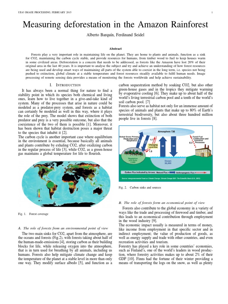 Measuring Deforestation in The Amazon Rainforest | PDF | Deforestation ...