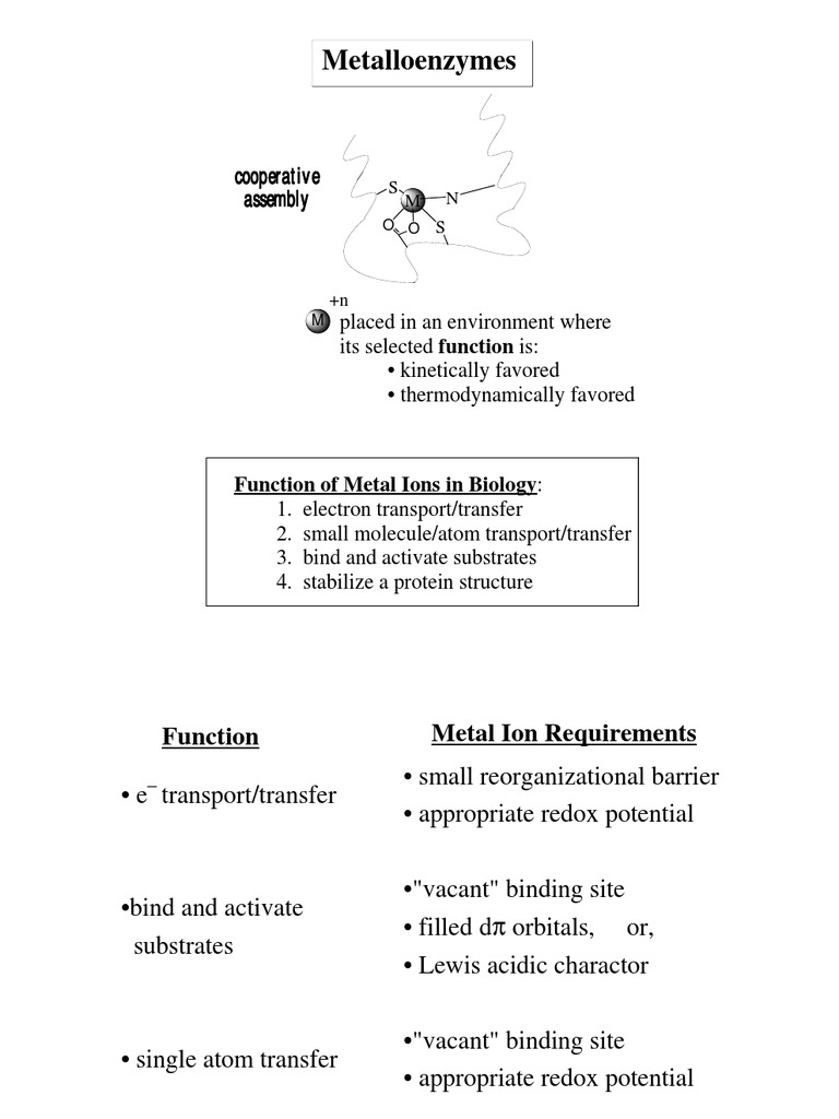 Metalloenzymes: Function of Metal Ions in Biology | PDF | Electron ...