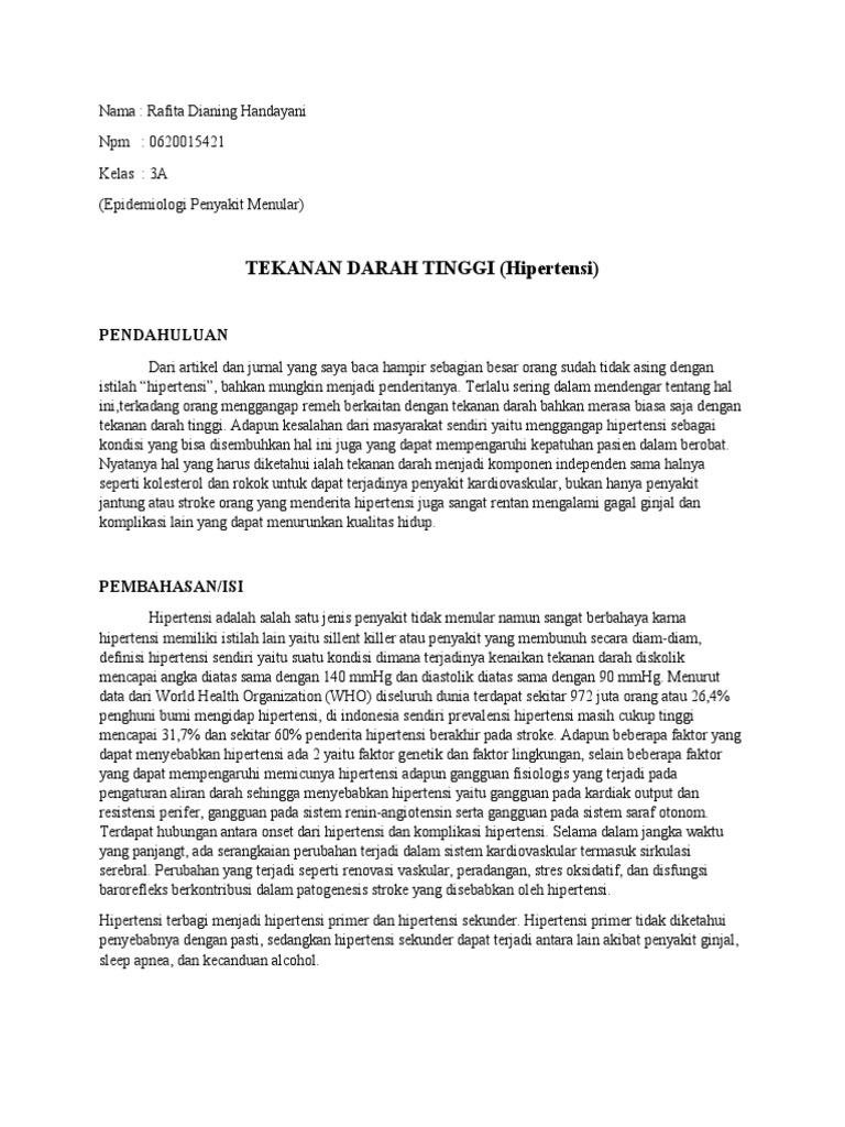Rafita Dianing .H. 3A - Paper Essay Hipertensi (Tekanan Darah Tinggi) | PDF