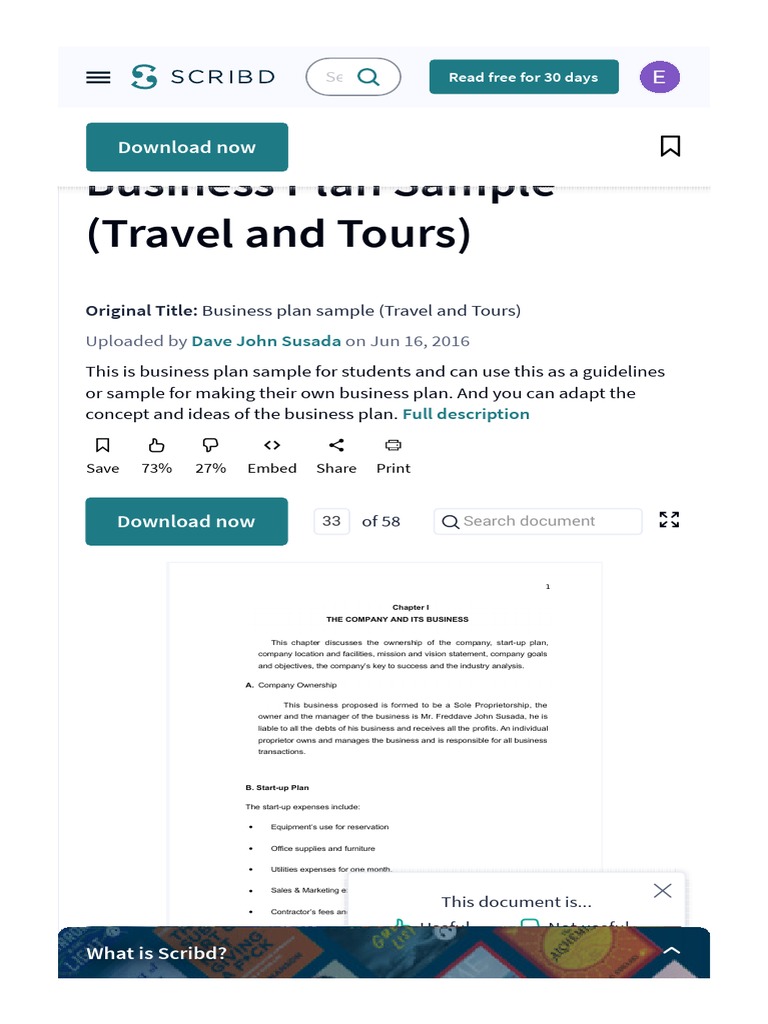 Business Plan Sample (Travel and Tours) : Download Now | PDF ...