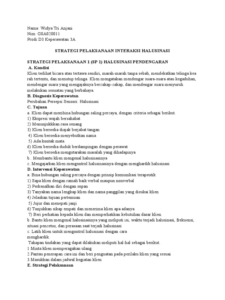 SP Halusinasi 1 | PDF